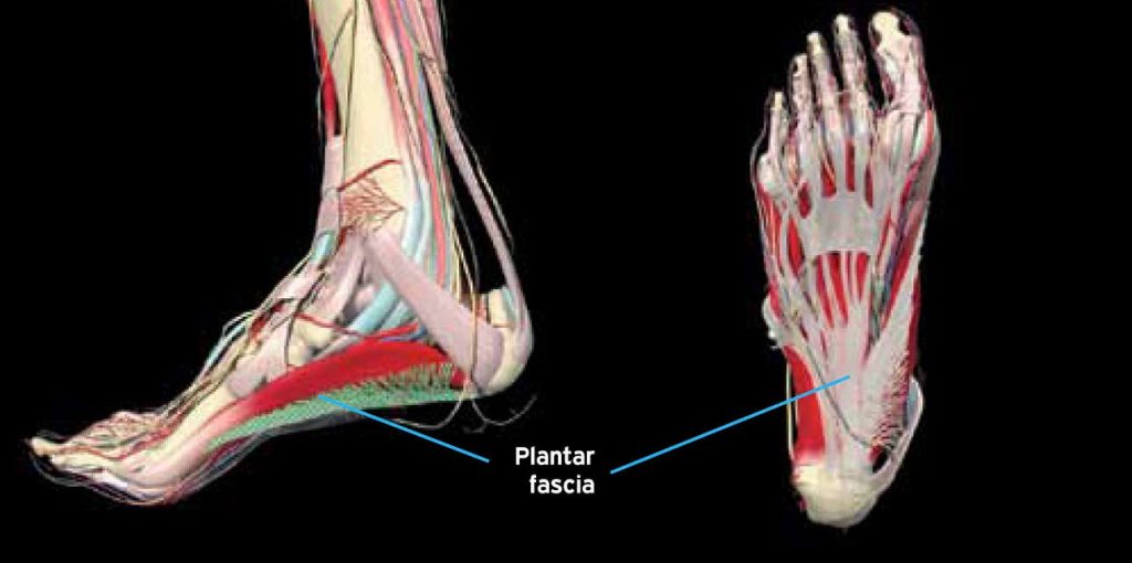 7 Musculoskeletal Conditions Treated by Physiotherapy